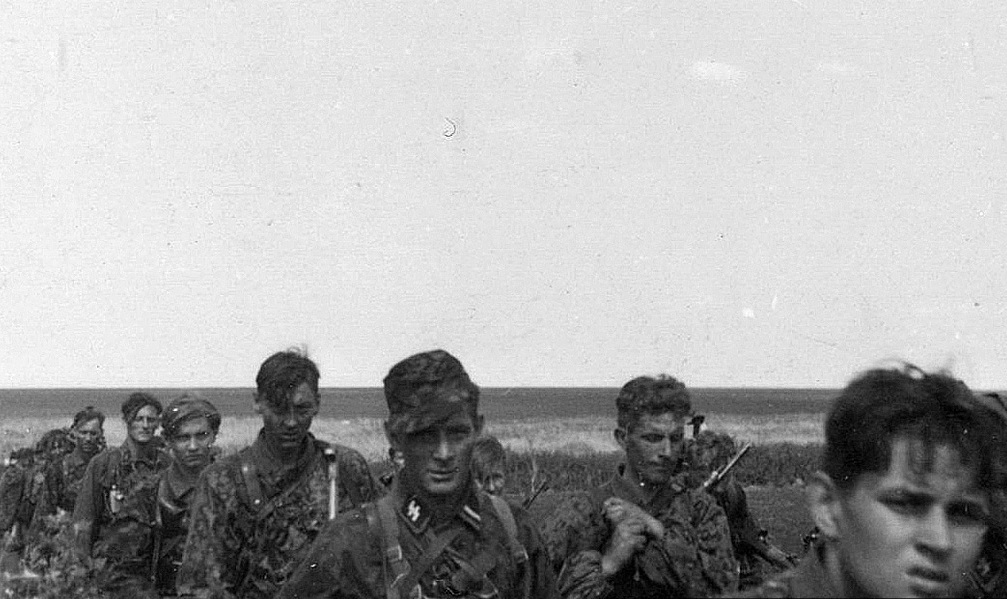 dls4.jpg | REIBERT.info